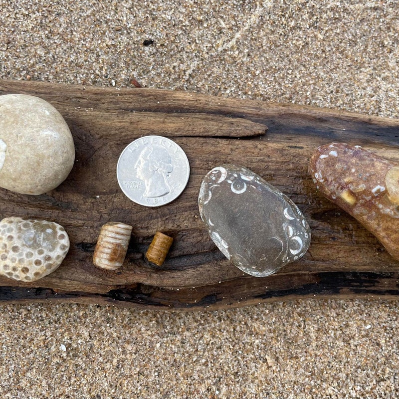 Fossil Rock - Etsy