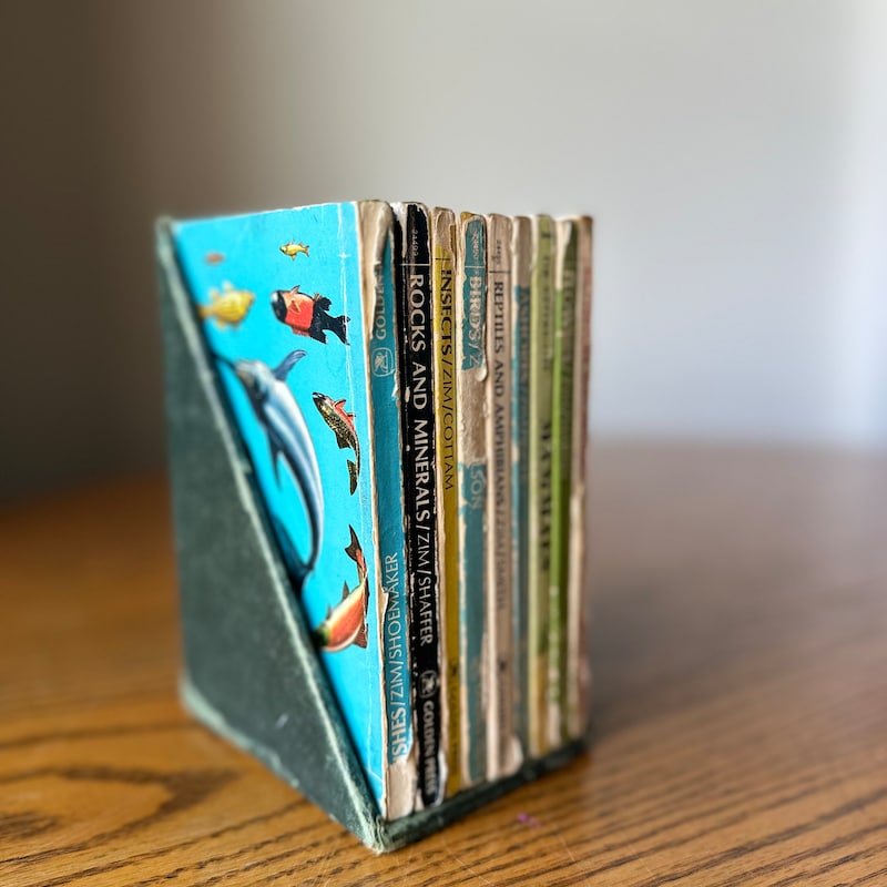 Golden Press Books - Etsy