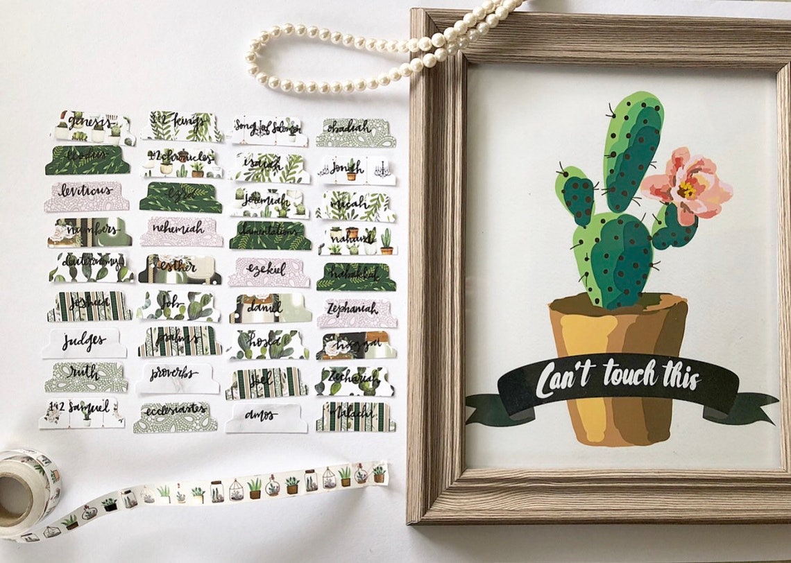 Cactus Bible Tabs - Etsy