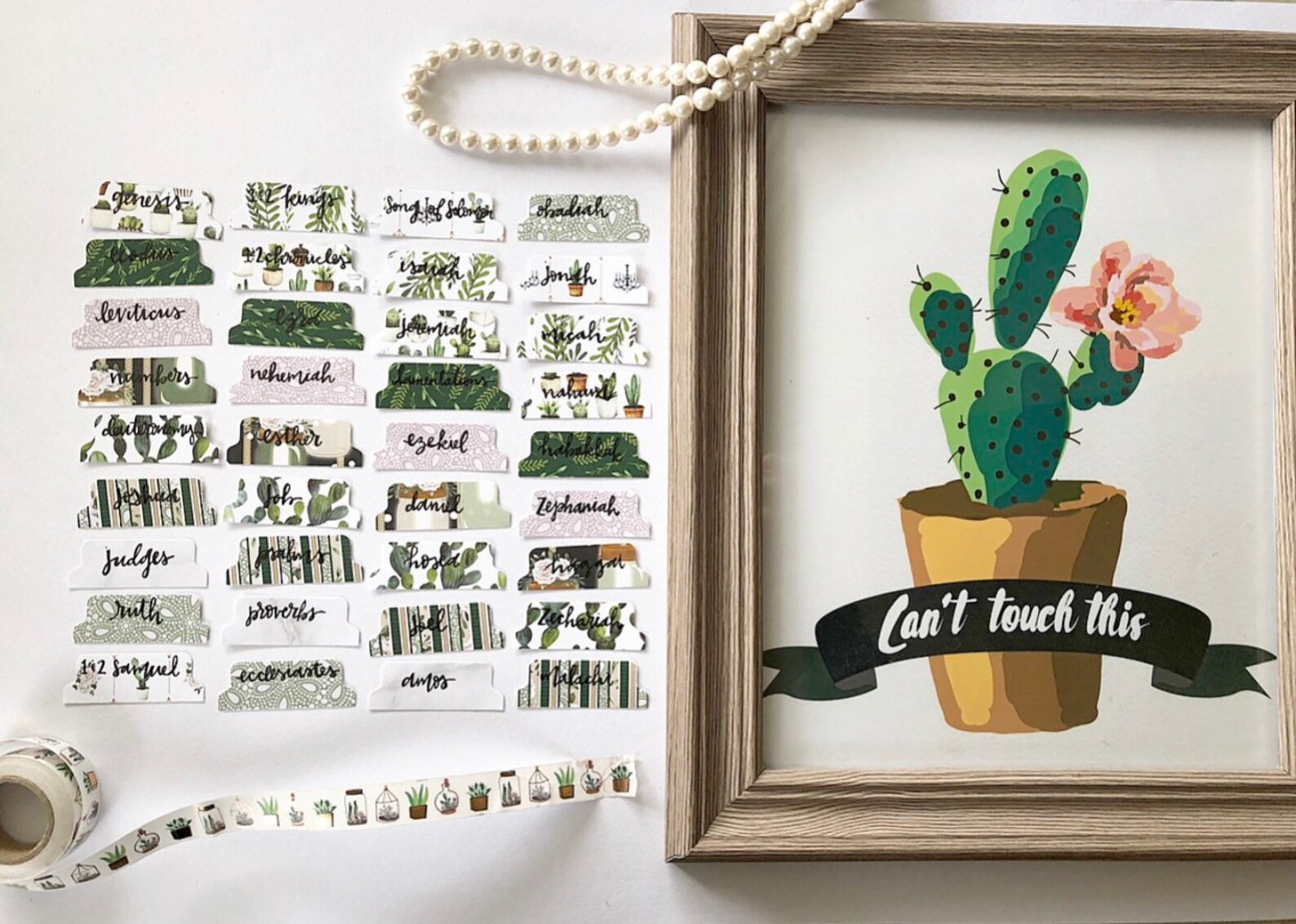 Cactus Bible Tabs - Etsy