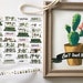 Cactus Bible Tabs - Etsy