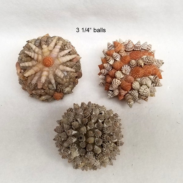 Seashell Balls - Etsy