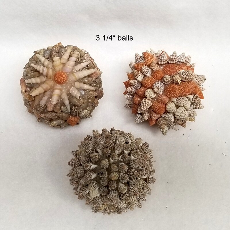 Seashell Balls - Etsy