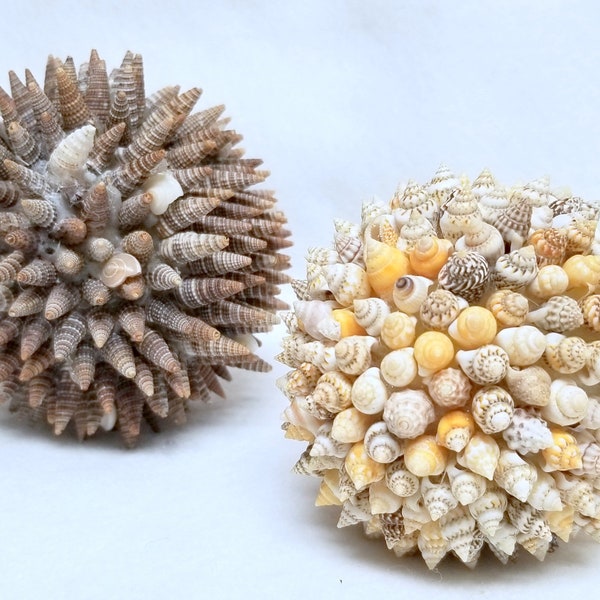 Seashell Balls - Etsy