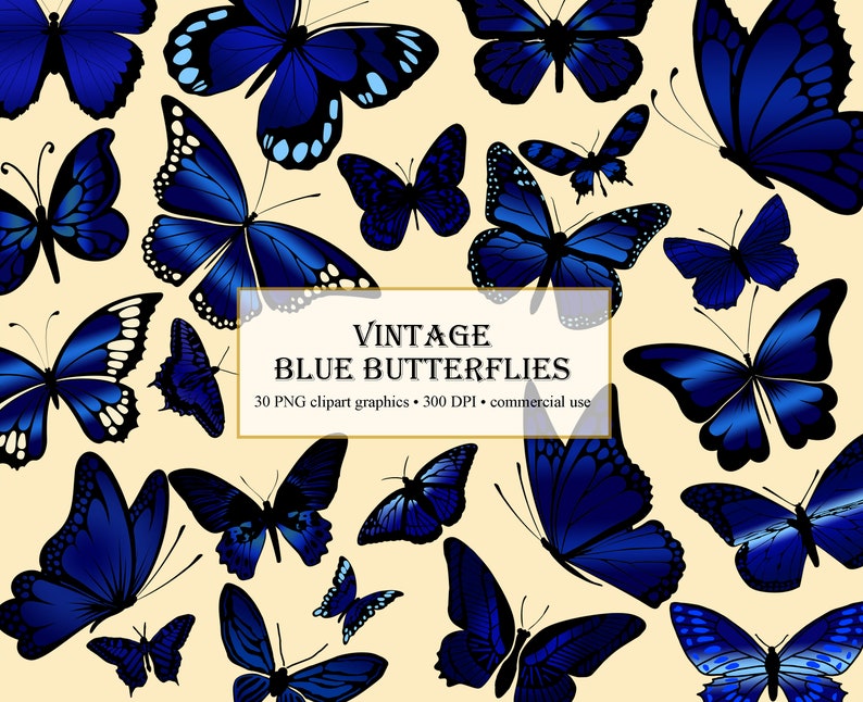 Vintage Blue Butterflies Vintage Butterfly Clipart Antique | Etsy
