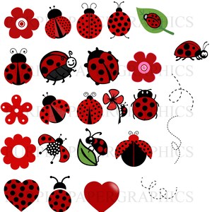 Ladybug Clipart and Digital Paper, Backgrounds and Overlays for ...
