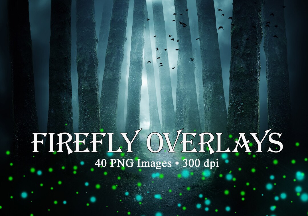 Firefly Overlays, Digital Photography Overlays, PNG Floating Twinkle ...