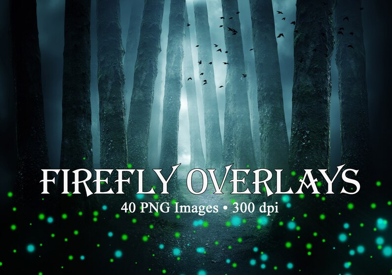 Firefly Overlays, Digital Photography Overlays, PNG Floating Twinkle ...
