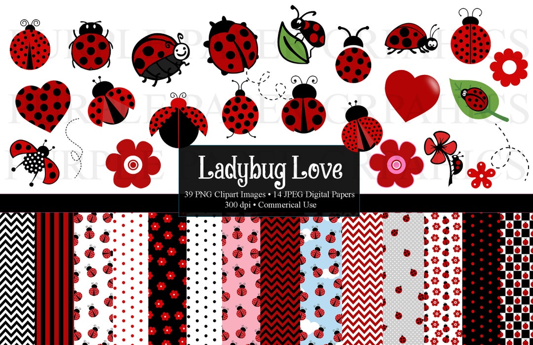 Ladybug Clipart and Digital Paper, Backgrounds and Overlays for ...