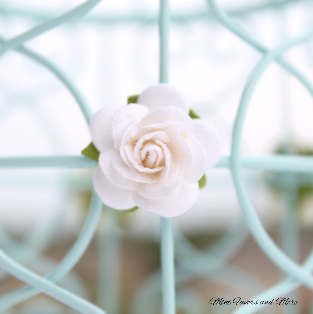 White Roses, Flower Embellishments Decorations for Favors, Cards, Thank ...