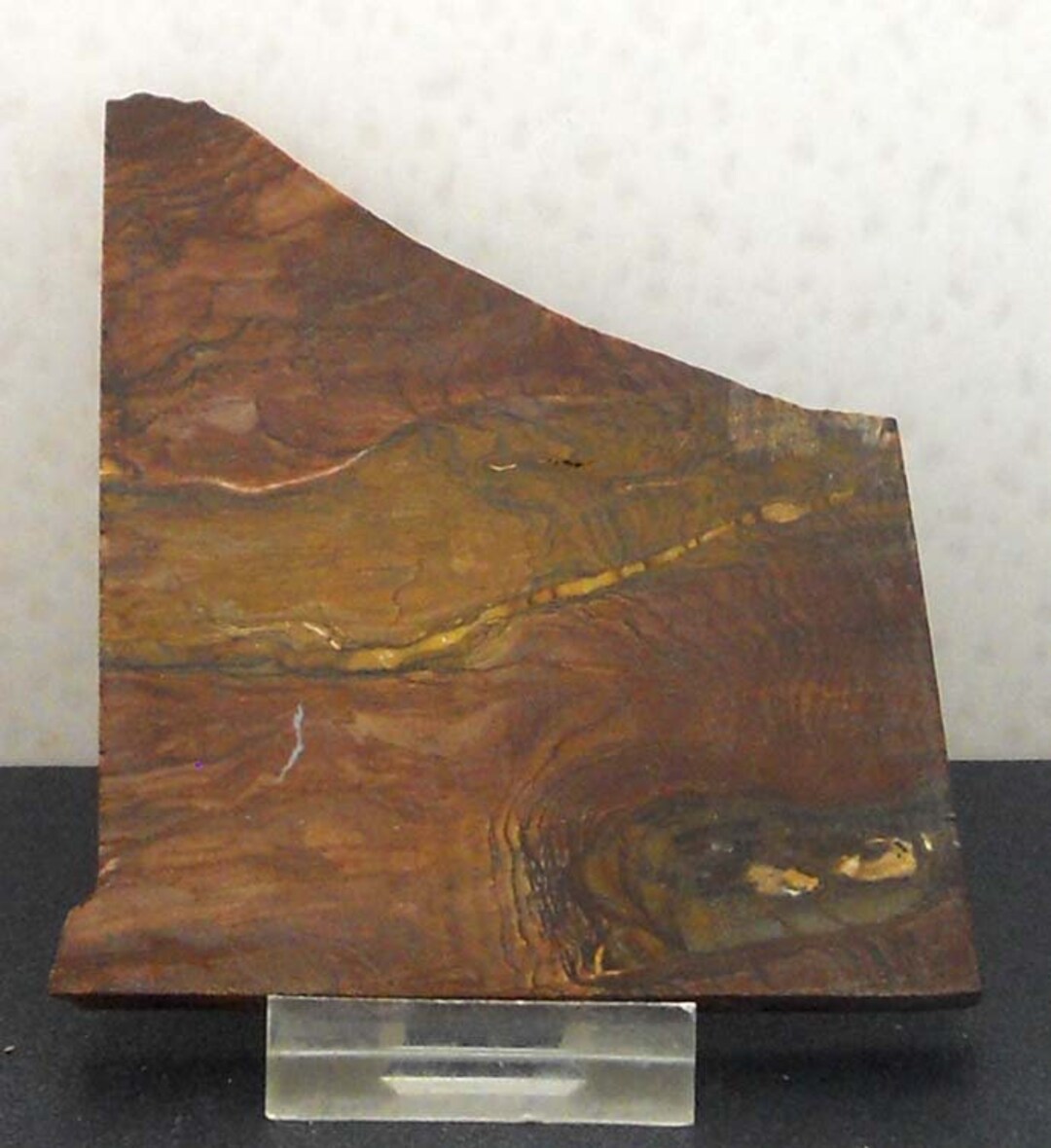 Blue Biggs Jasper Rough Slab. - Etsy