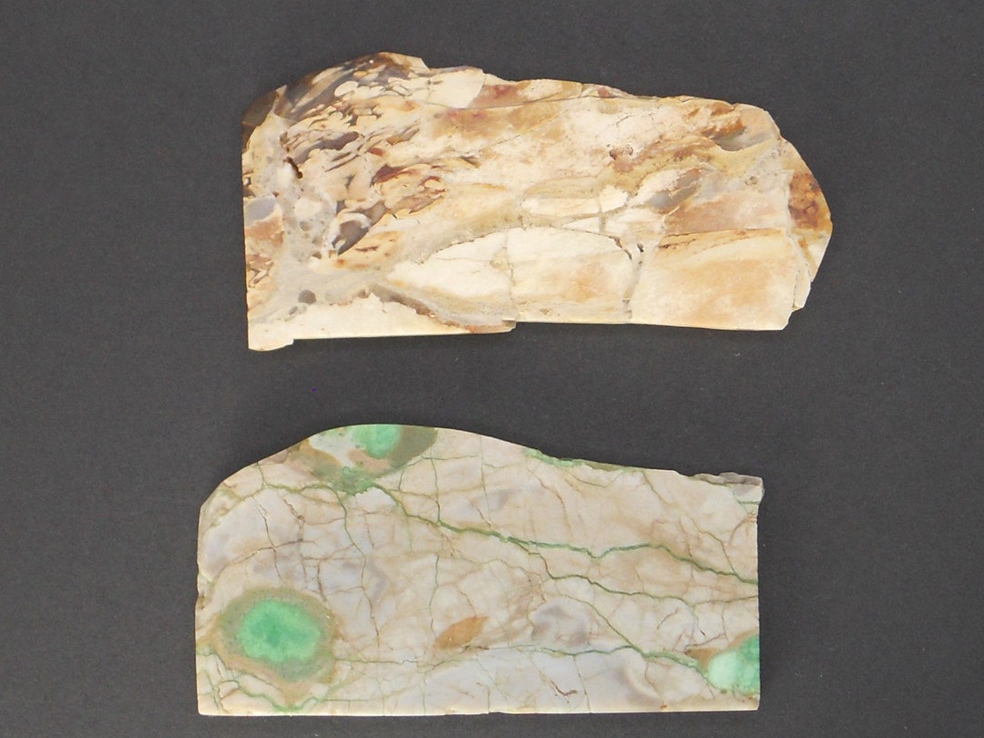 Australia Peanunt Wood & Variscite Slab Lapiadary Slab - Etsy