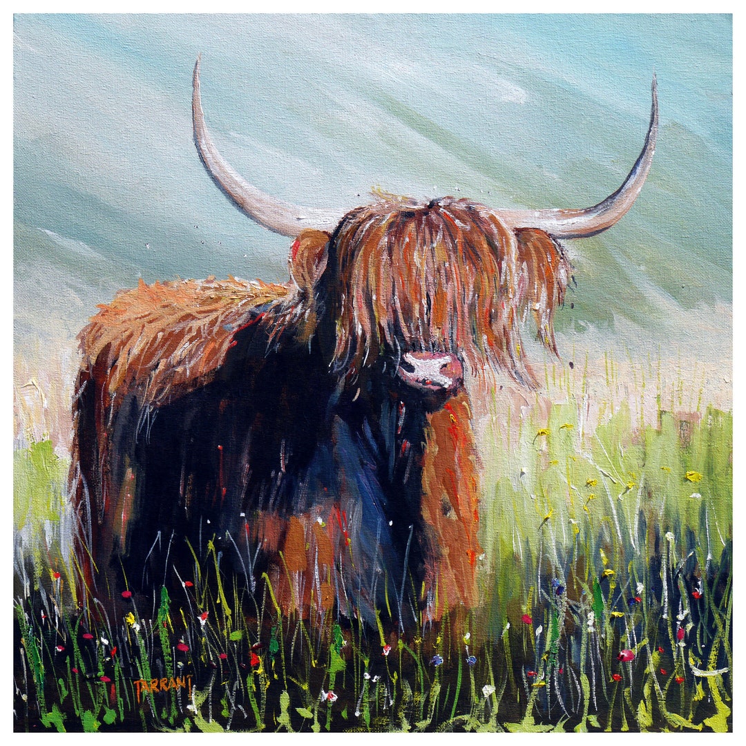 Scottish Highland Coo Greeting Cards (pack 2) - Etsy