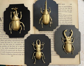 Bug Wall Decor | Etsy