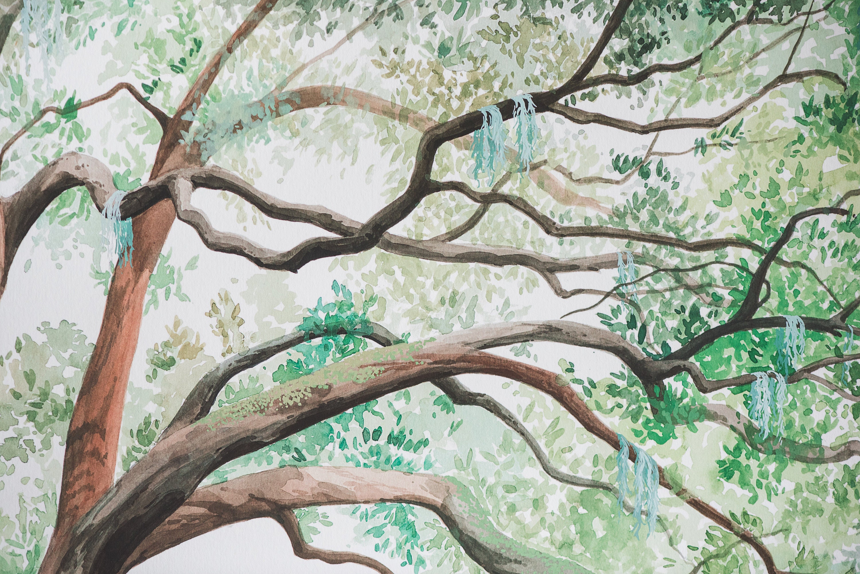 Live Oak Tree Parents' Gift | Jewish/interfaith Wedding | Hand-painted ...