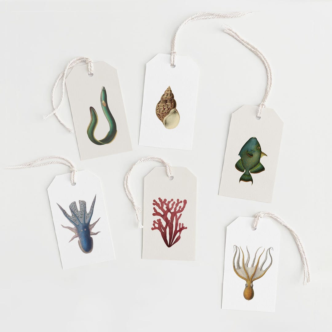 Marine Life Gift Tags: Beige & White Printable Set (digital Download ...