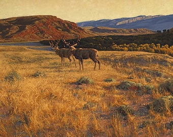 Greg Beecham Artist - Etsy