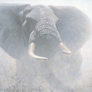 Robert Bateman Tembo Canvas Giclee RARE Limited Edition Signed ...
