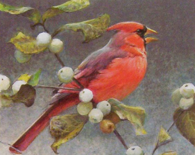Robert Bateman Cardinal and Snowberries Print Collectible Limited ...
