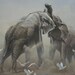 Robert Bateman Sparring Elephants Collectible Limited Edition Signed ...