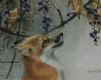 Robert Bateman Cardinal and Snowberries Print Collectible | Etsy