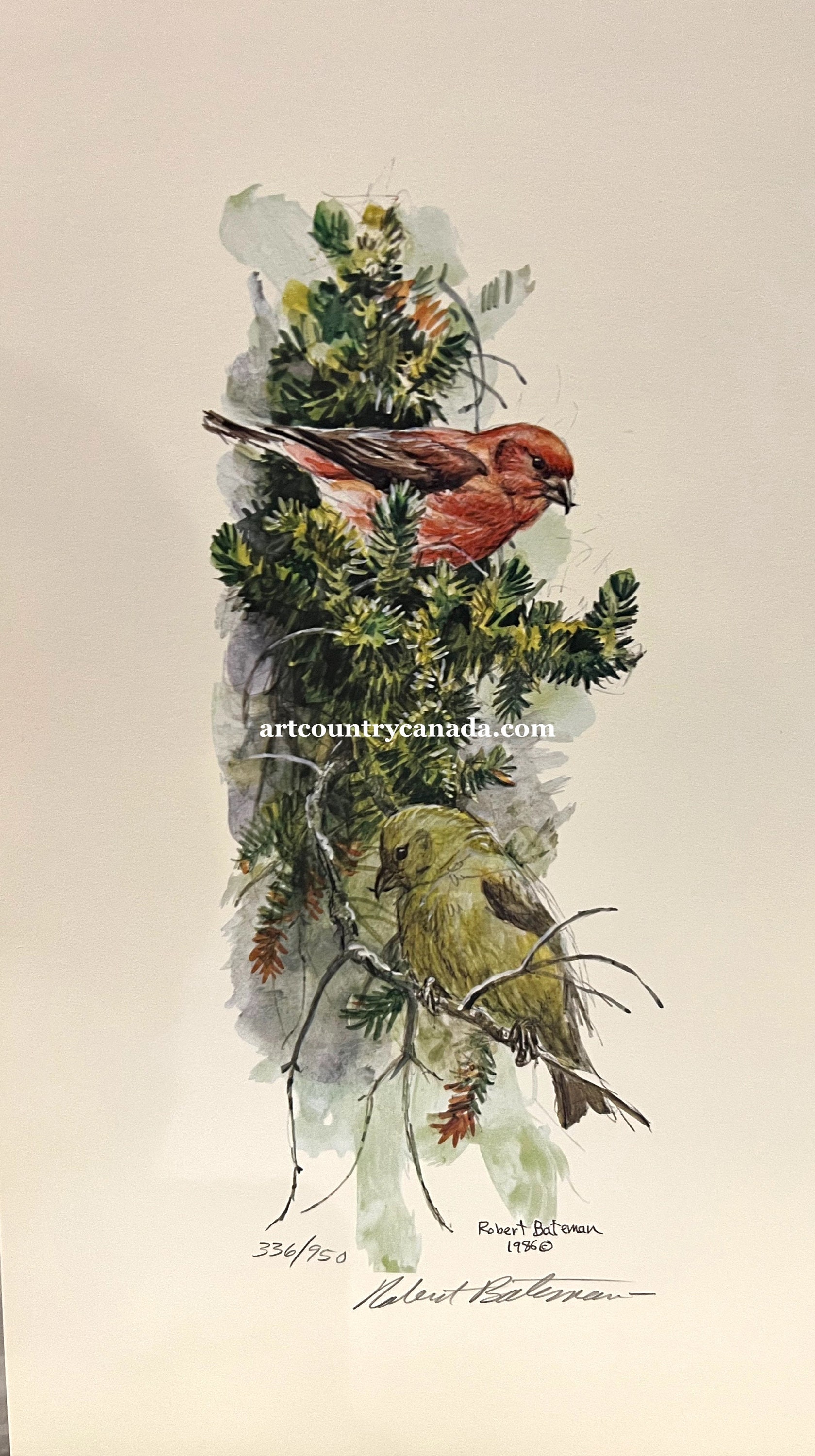 Robert Bateman " Red Crossbills " Print RARE Limited Edition Signed ...