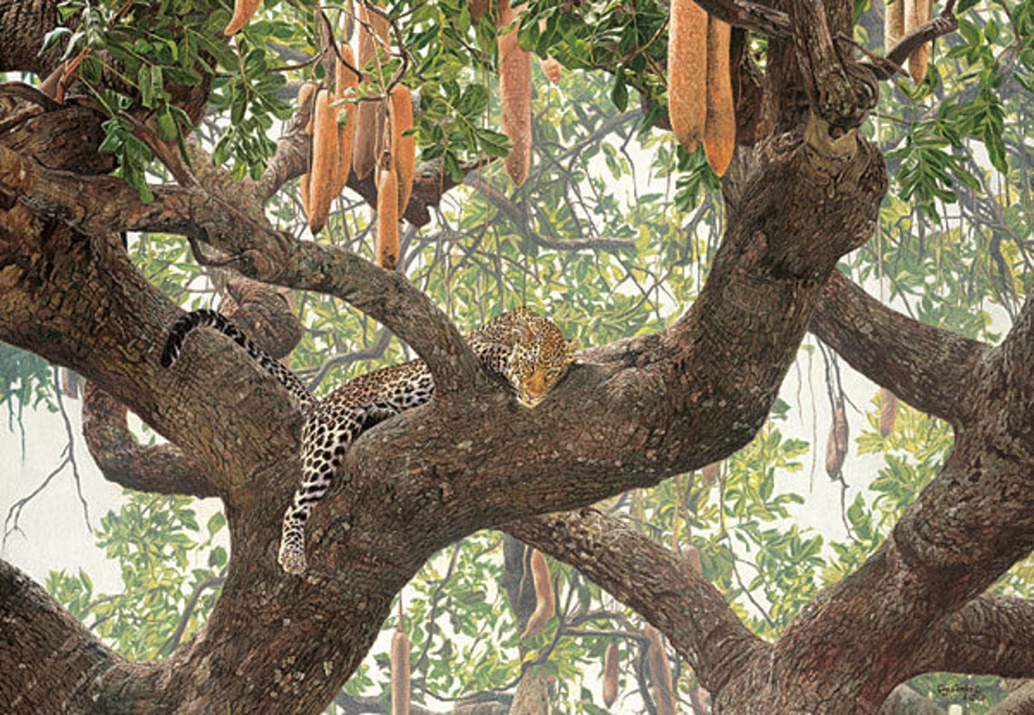 Guy Combes Leopard Lounge RARE Only 35 Limited | Etsy