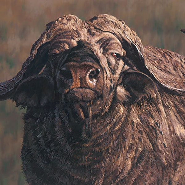 Simon Combes Canvas - Etsy