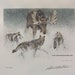 Robert BATEMAN Original LITHOGRAPH " Wolves" 3 Print Art Set LE Signed ...