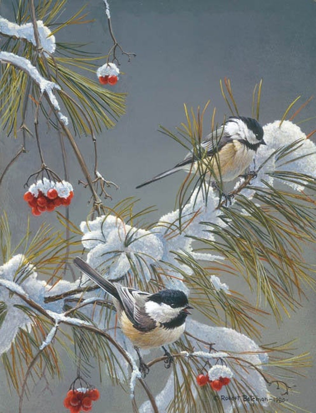 Robert Bateman " Winter Song Chickadees " Giclee on Board Clasart RARE ...