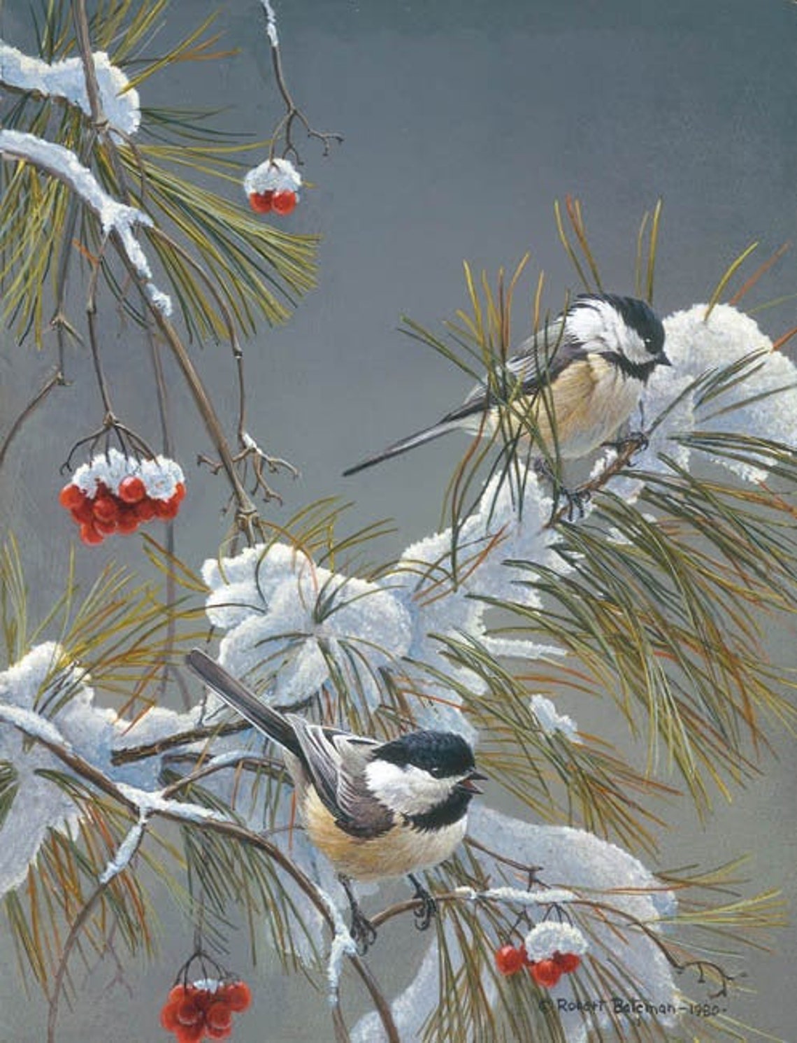 Robert Bateman Winter Song Chickadees Giclee on - Etsy