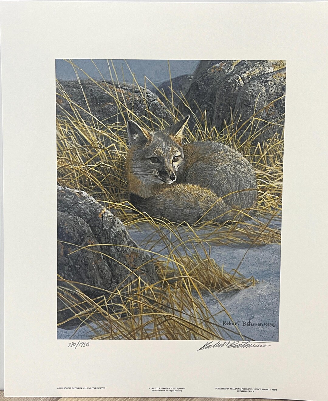 Robert Bateman Curled up Swift Fox Collectible Print Limited Edition ...