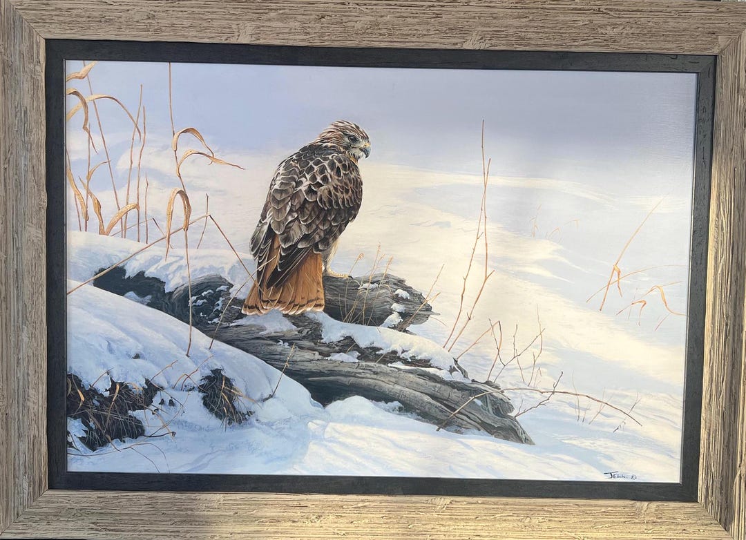 Michael JELL Original Painting " Red Tailed Hawk " Acrylic on Board ART ...