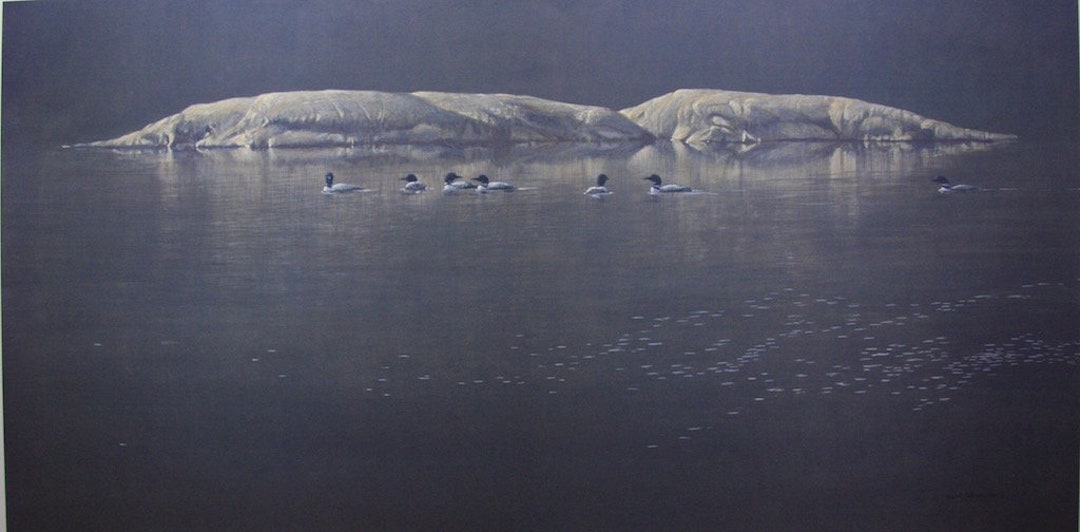 Robert Bateman Loon Gathering at Big East Giclee Canvas RARE Limited ...