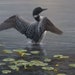 Robert Bateman Lake Loon and Lily Pads Giclee Canvas RARE Limited ...