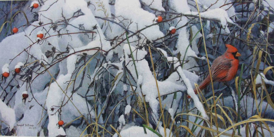 Robert Bateman Fresh Snow – Cardinal Giclee Canvas RARE Limited Edition Signed & Numbered Art ...