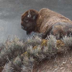Robert Bateman Weather Watch Bison Giclee Canvas RARE Limited Edition ...