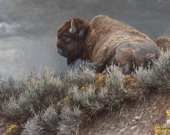 Robert Bateman Weather Watch Bison Giclee Canvas RARE Limited Edition ...