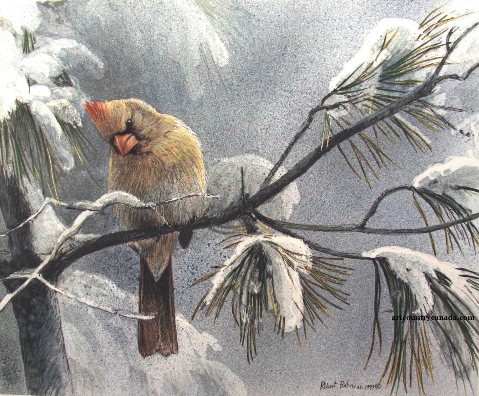 Robert Bateman Cardinal & Sumac Companion Limited Edition Print Signed ...