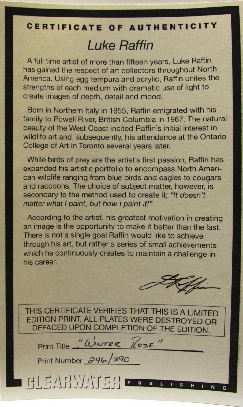 Luke Raffin winter Rose Limited Edition RARE Print | Etsy