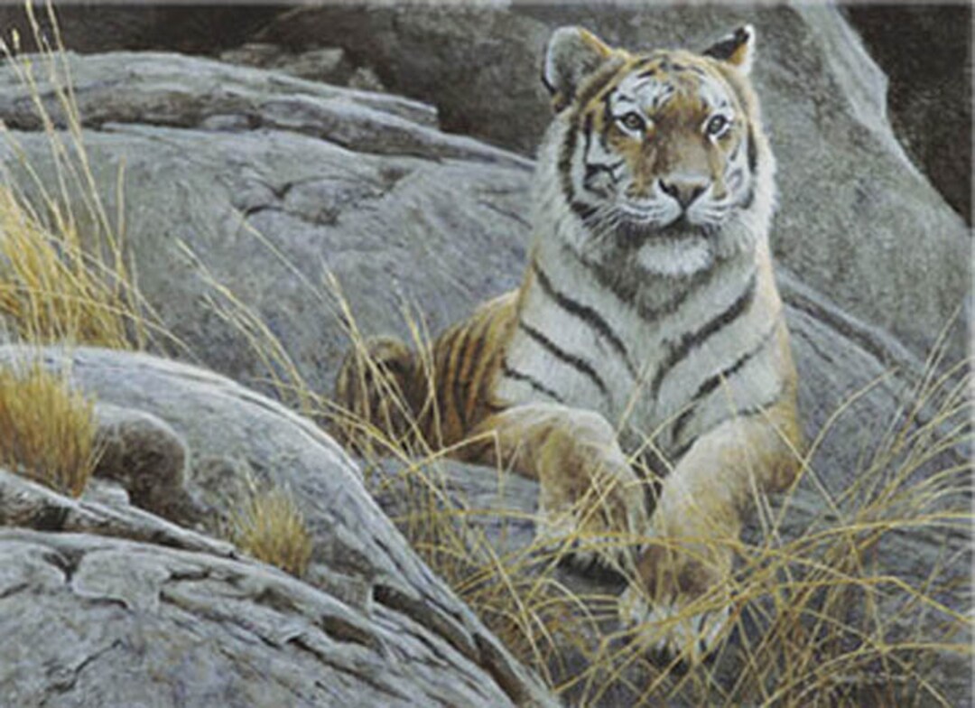 Robert Bateman Monarch of Asia Collectible Print Limited Edition Signed ...