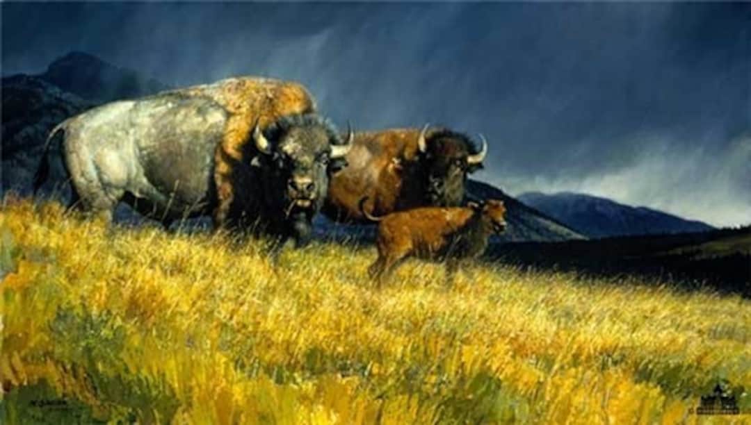 NANCY GLAZIER " Stormy " Limited Edition Signed and Numbered Giclee ...