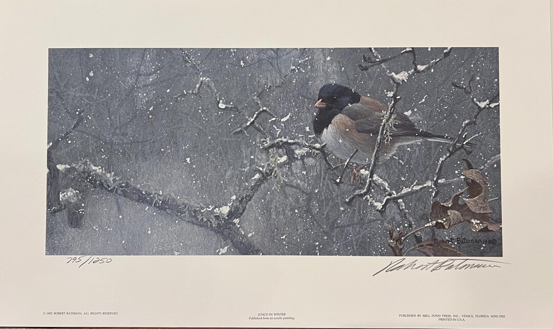 Robert Bateman Junco in Winter Collectible Print Limited Edition Signed ...