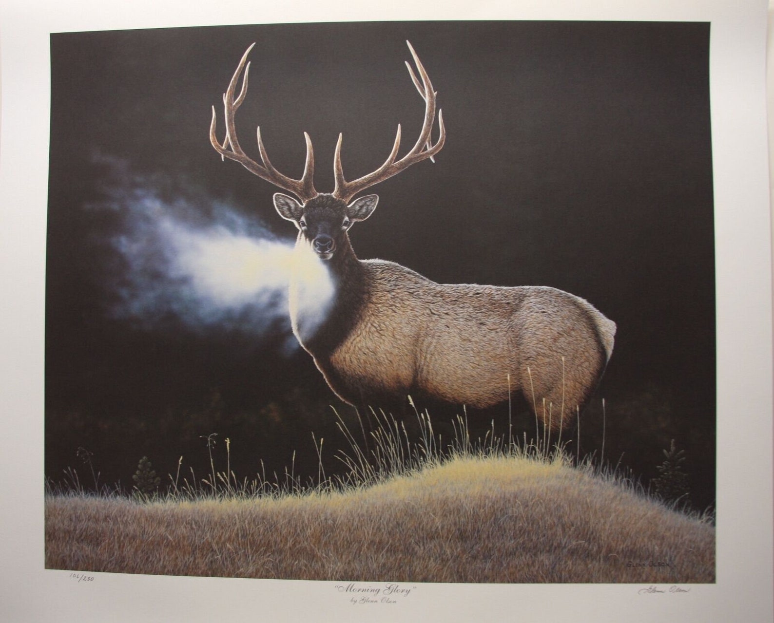 Glenn Olson morning Glory Rare Ducks Unlimited - Etsy