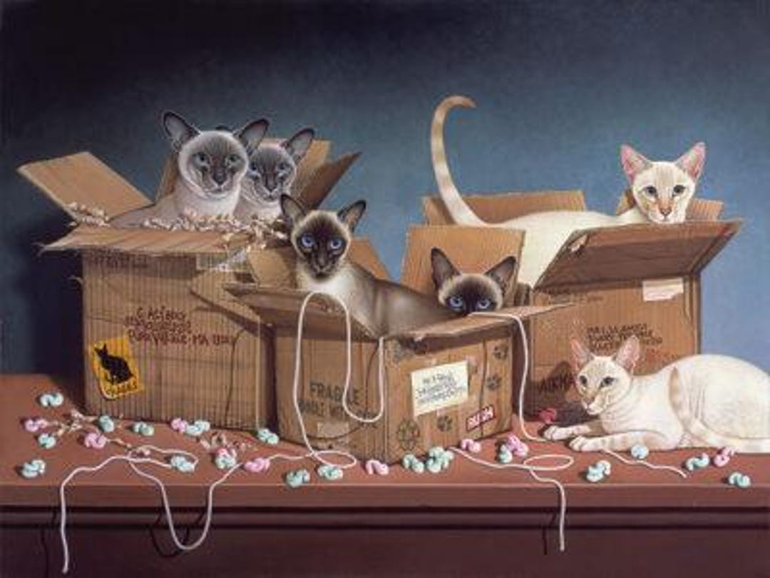 CATS Siamese Twins Braldt Bralds Unique Limited Edition PRINTS Kittens ...