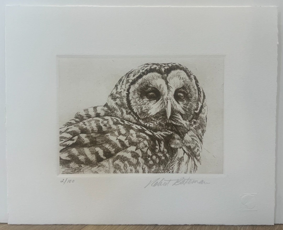 Robert BATEMAN " Barred Owl " Original LITHOGRAPH Etching Art Print 2 / 100 Limited Edition ...