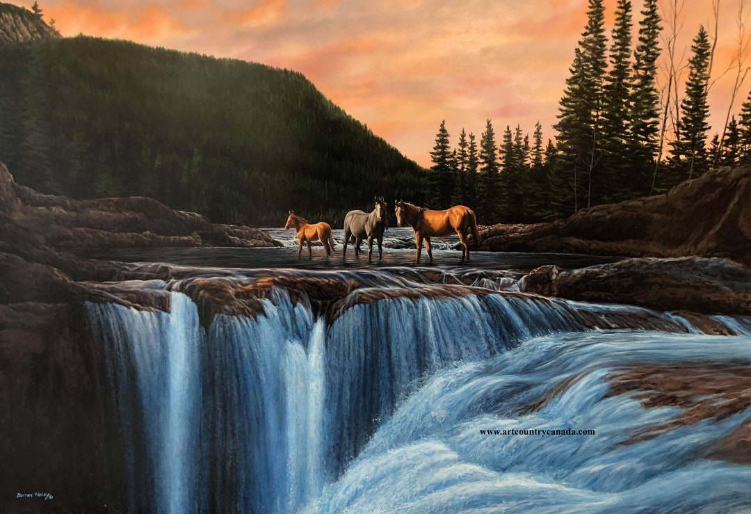 Darren Haley “ Elbow Falls Wild Horses“ Original Acrylic on Board 24” X ...