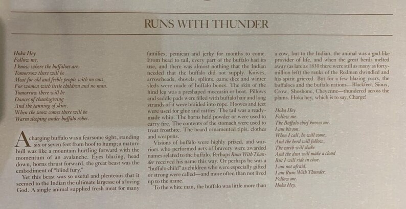 Bev DOOLITTLE " Runs With Thunder " Art Print Camouflage Native WSS ...