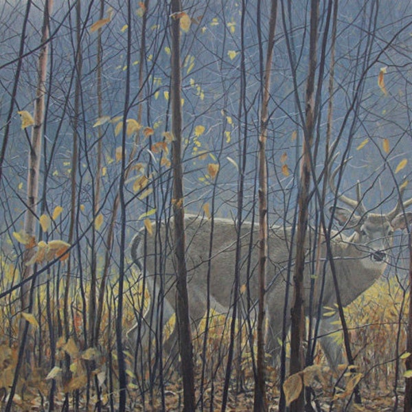 Deer and Birch Trees - Etsy