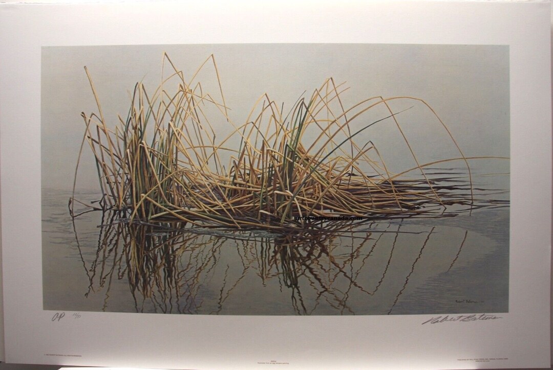Robert Bateman " Reeds " RARE Print Limited Edition Signed and Numbered ...